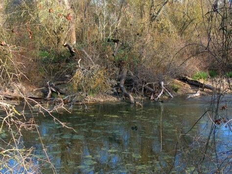 Parks Yuba Sutter Localwiki