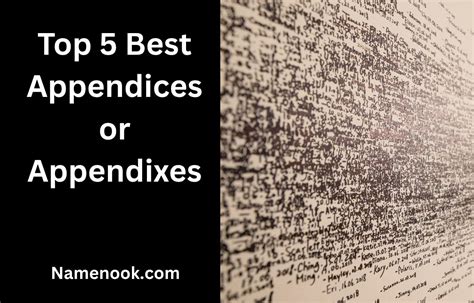 Top 5 Best Appendices Or Appendixes