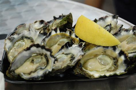 Sydney Rock Oyster Oyster Oysterater