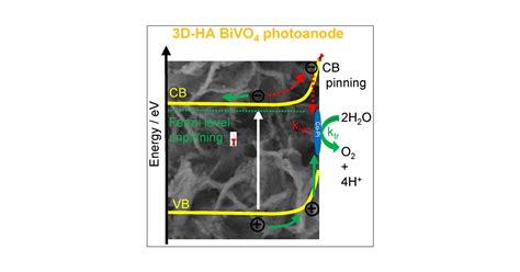 Physical Insights Into Band Bending In Pristine And Co Pi Modified