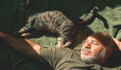 Oreja De Culo De Gato