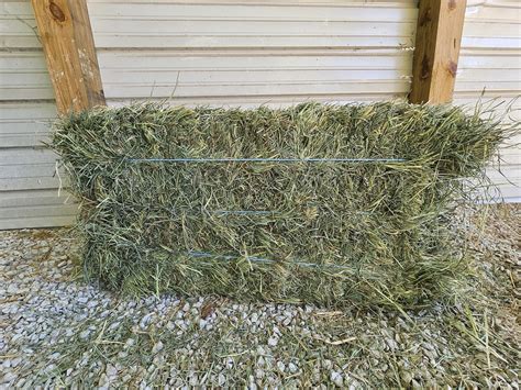 Premium Alfalfa Orchard Grass 3 String Hymer Feed Company