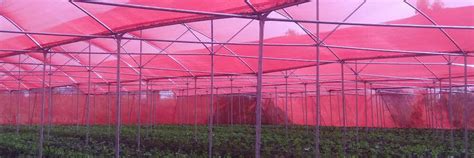 Red Nets And Insects My Job Depends On Ag Magazine