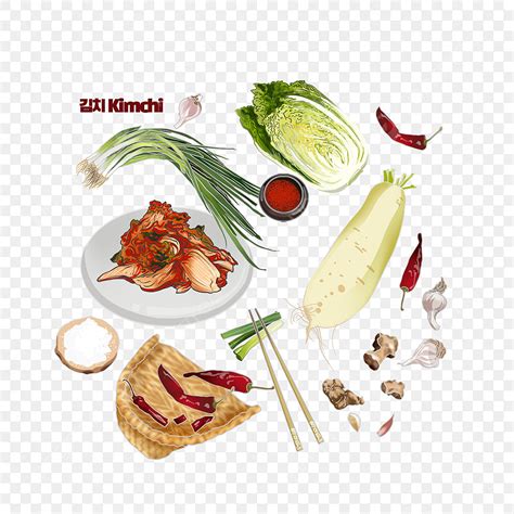 김치 일러스트 재료 한국 야채 음식 요리 Png 일러스트 및 Psd 이미지 무료 다운로드 Pngtree