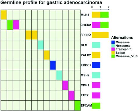 Germline Mutations In Cancer Susceptibility Genes A Distribution Of