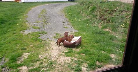 Need Some Advice Imgur