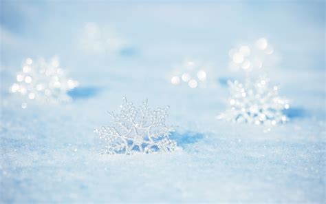 雪花一片一片 雪花一片一片为红颜 雪花片 第4页 大山谷图库