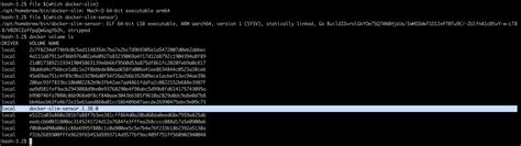 Dockerslim Is Not Working · Issue 410 · Slimtoolkitslim · Github