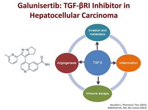 Understanding The Landscape Of Progress In The Treatment Of