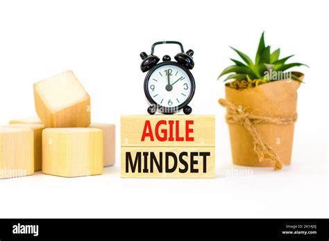 Agile Mindset Symbol Concept Words Agile Mindset On Wooden Blocks