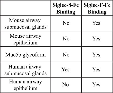 Comparison Of Binding Of Siglec F And Siglec 8 To Mice And Human Download Scientific Diagram