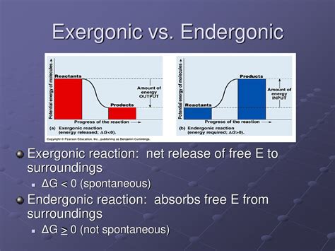 Cellular Energy And Metabolism Ppt Download