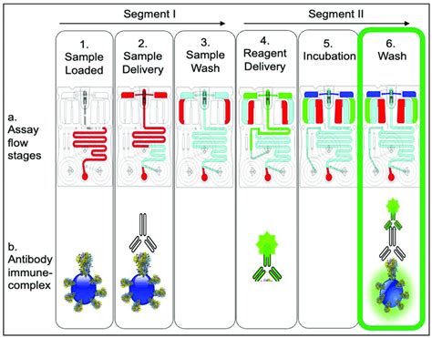 Antibody Microplate Assay At Daria Willis Blog