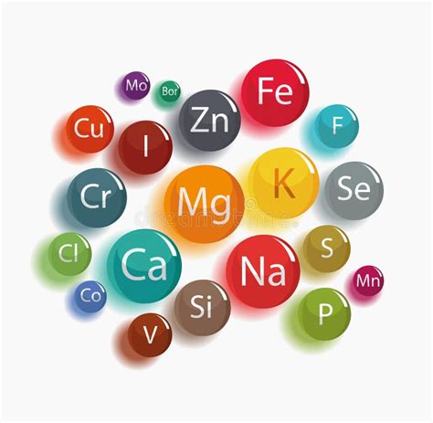 20 Minerals Microelements And Macro Elements Stock Vector Illustration Of Iron Healthy