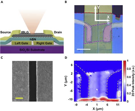 The Design Of A Multimode Split Gate Device A The Schematic Structure Download Scientific
