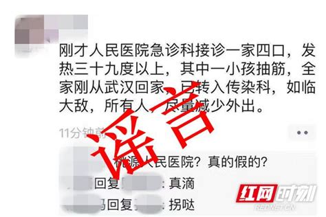 桃源3人传播新型冠状病毒疫情谣言被依法处理 湖南频道 凤凰网
