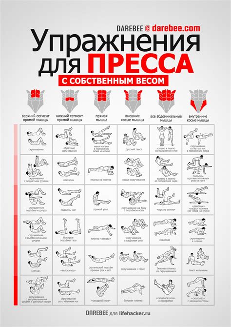ИНФОГРАФИКА 36 упражнений для пресса Упражнения Упражнения для пресса Схемы упражнений