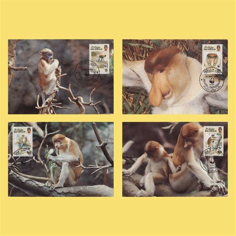Brunei 1991 Proboscis Monkey First Day Postcards Zeboosecom