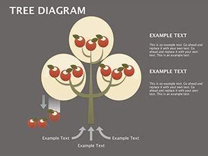 Presentations With Tree Analysis Keynote Diagrams