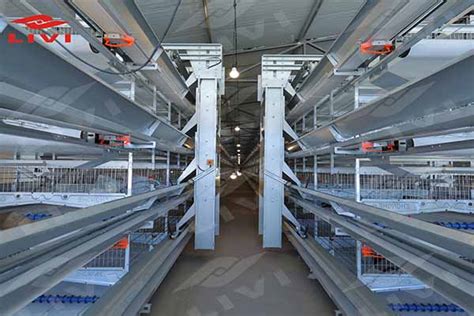 Automatic Chicken Layer House Using H Type Layer Cage Livi