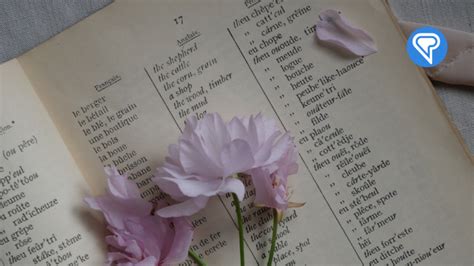 Monolingual Or Bilingual Dictionaries The Linguist