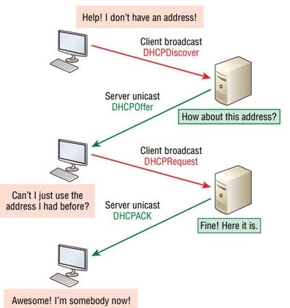 What Is A Dhcp Client Lasopagems