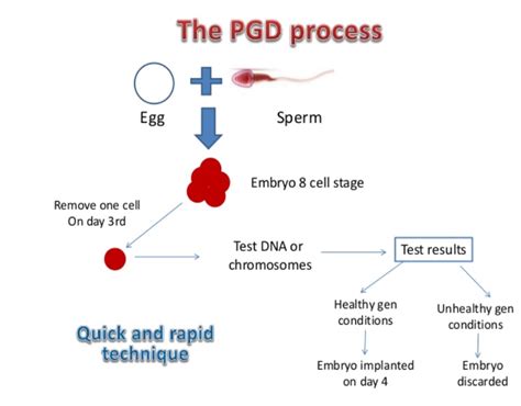 What Is Gender Selection With The Pgd Pgs Medium