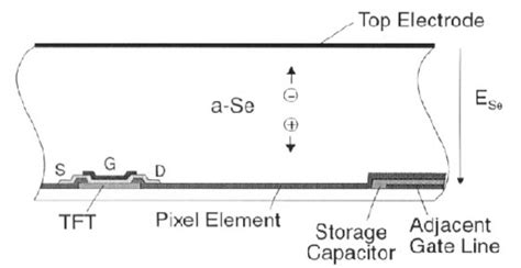 Principle Of Amorphous Selenium Area Detector See Also Figure 22 B Download Scientific