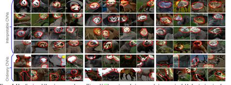 Table 1 From Interpretable Convolutional Neural Networks Semantic Scholar