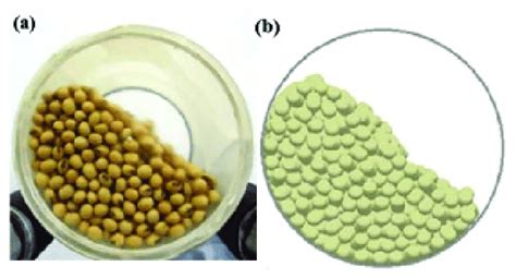 Soybean Seed Particle Dynamic Angle Of Repose A Test Device Diagram