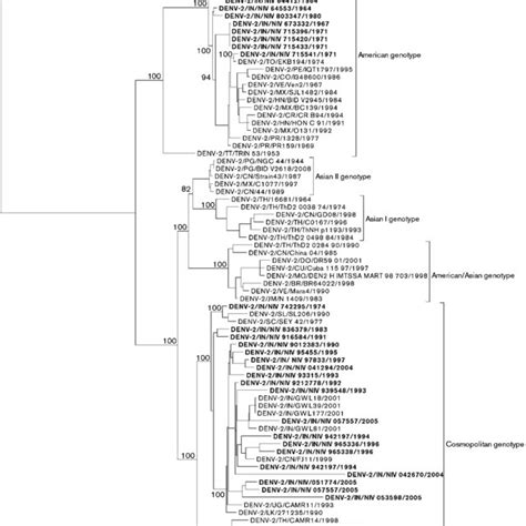 Bayesian Markov Chain Monte Carlo Mcmc Tree Of E Gene Sequences Of