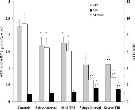 Graph Showing Concentrations Of ATP And ADP And ATP ToADP Ratio As Download Scientific Diagram