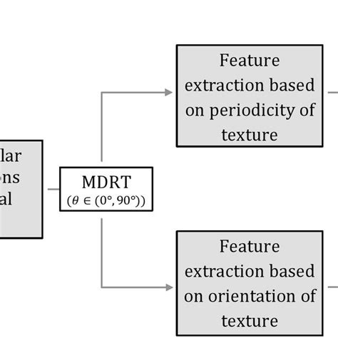 1 Overview Of The Proposed Feature Extraction Protocol Download