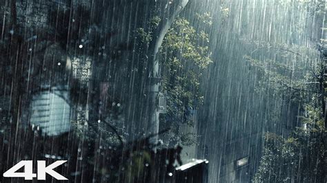 밤에 스트레스 해소하고 5분안에 잠들기 불면증을 위한 천둥과 폭우 빗소리asmr Youtube