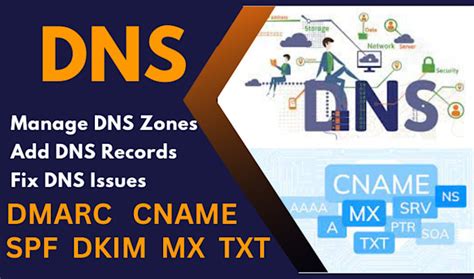 Install Fix Cpanel Whm Plesk Webmin Virtualmin Dns Issues By