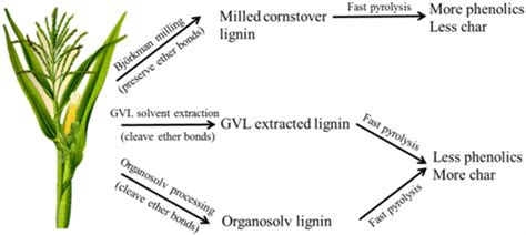 不同方法分离的玉米秸秆木质素快速热解行为的比较 Acs Sustainable Chemistry And Engineering X Mol