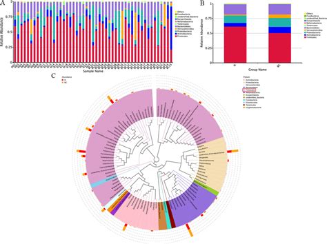 Relative Abundance Of Species A And B Relative Abundance Of Species At Download Scientific