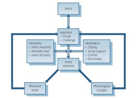 Stress And Coping Flashcards Quizlet