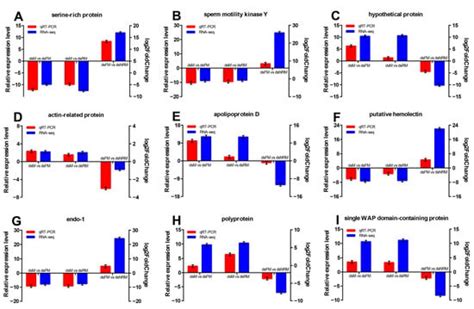Insulin Like Androgenic Gland Hormone Induced Sex Reversal And Molecular Pathways In