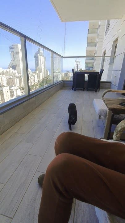 Мама Дорогая Youtube