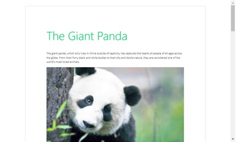 View And Edit Word Documents In Angular Apps Beginners Guide