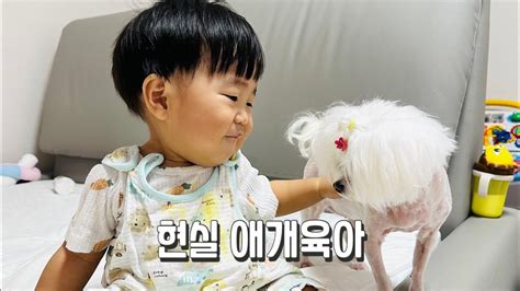 애개육아 7살 강아지와 13개월 아기의 육아현장 Youtube