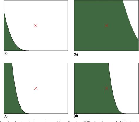 Figure 3 From A Ghost Cell Immersed Boundary Method For Flow In Complex