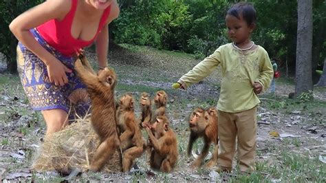 크메르 소녀는 음식을 원숭이에게주었습니다 원숭이 아기는 바이욘 사원 근처에서 음식을 먹습니다null Youtube