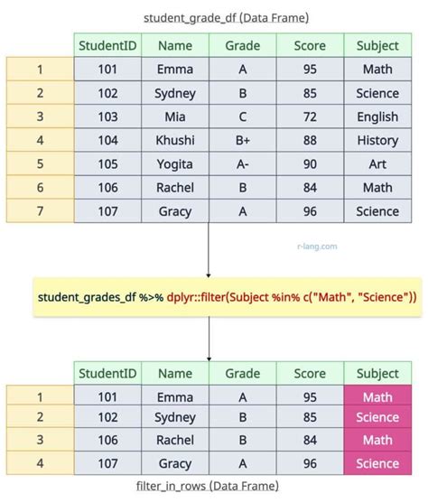 R Dplyrfilter Function Complete Guide