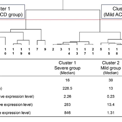 Cluster Analysis Of Patients With Acds Cluster Analysis Based On