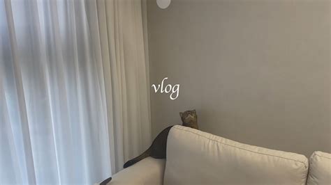 Vlogㅣ일상and여행 브이로그ㅣ이사하고 보내는 일상 국수 만들어먹고 마트장보고 제주여행 23초🍊 Youtube