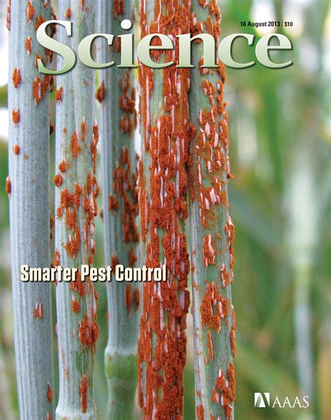 Control Of Metal Nanocrystal Size Reveals Metal Support Interface Role For Ceria Catalysts Science