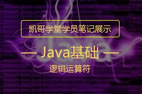 Java基础——逻辑运算符