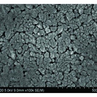 SEM Photograph Of Fe Doped TiO Thin Film Download Scientific Diagram